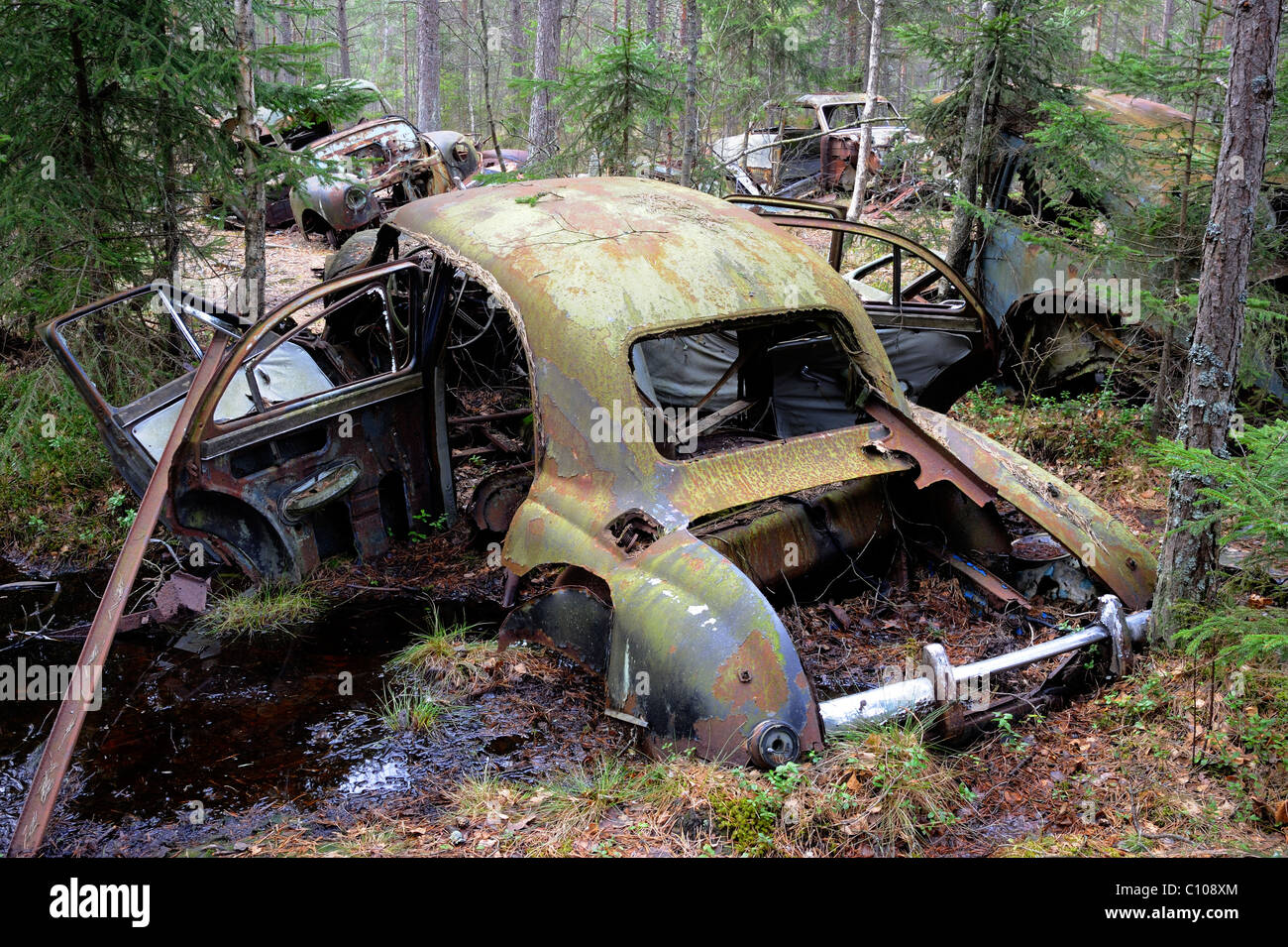 Old dilapidated cars are left in a swedish bog to rust and break down ...