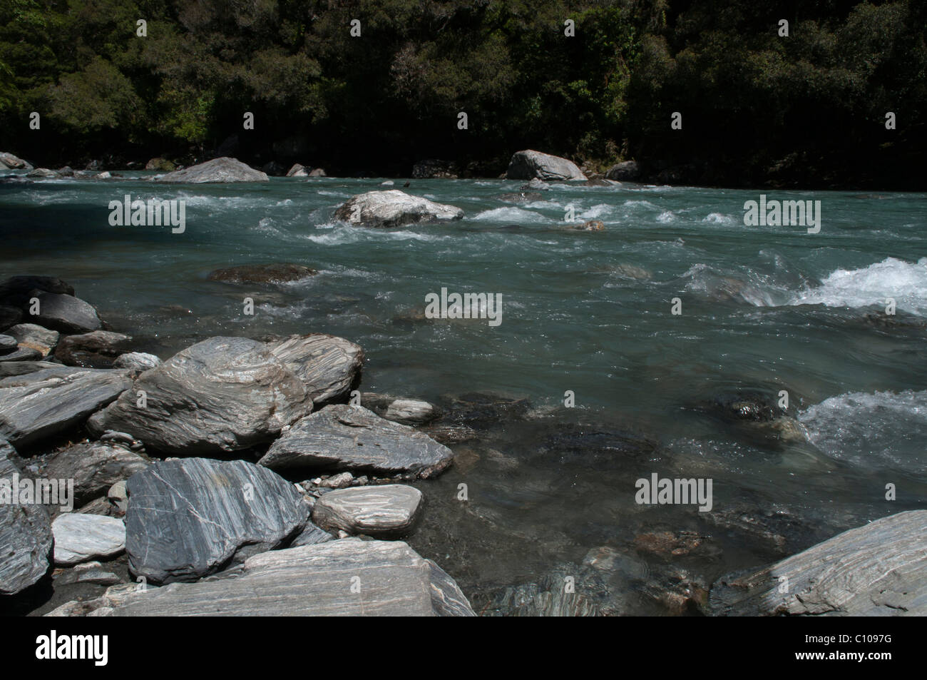 The incredible clear water of the Haast River is running towards the ...