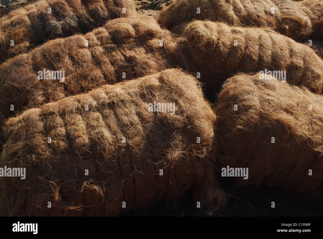 Coconut fibre hi-res stock photography and images - Alamy