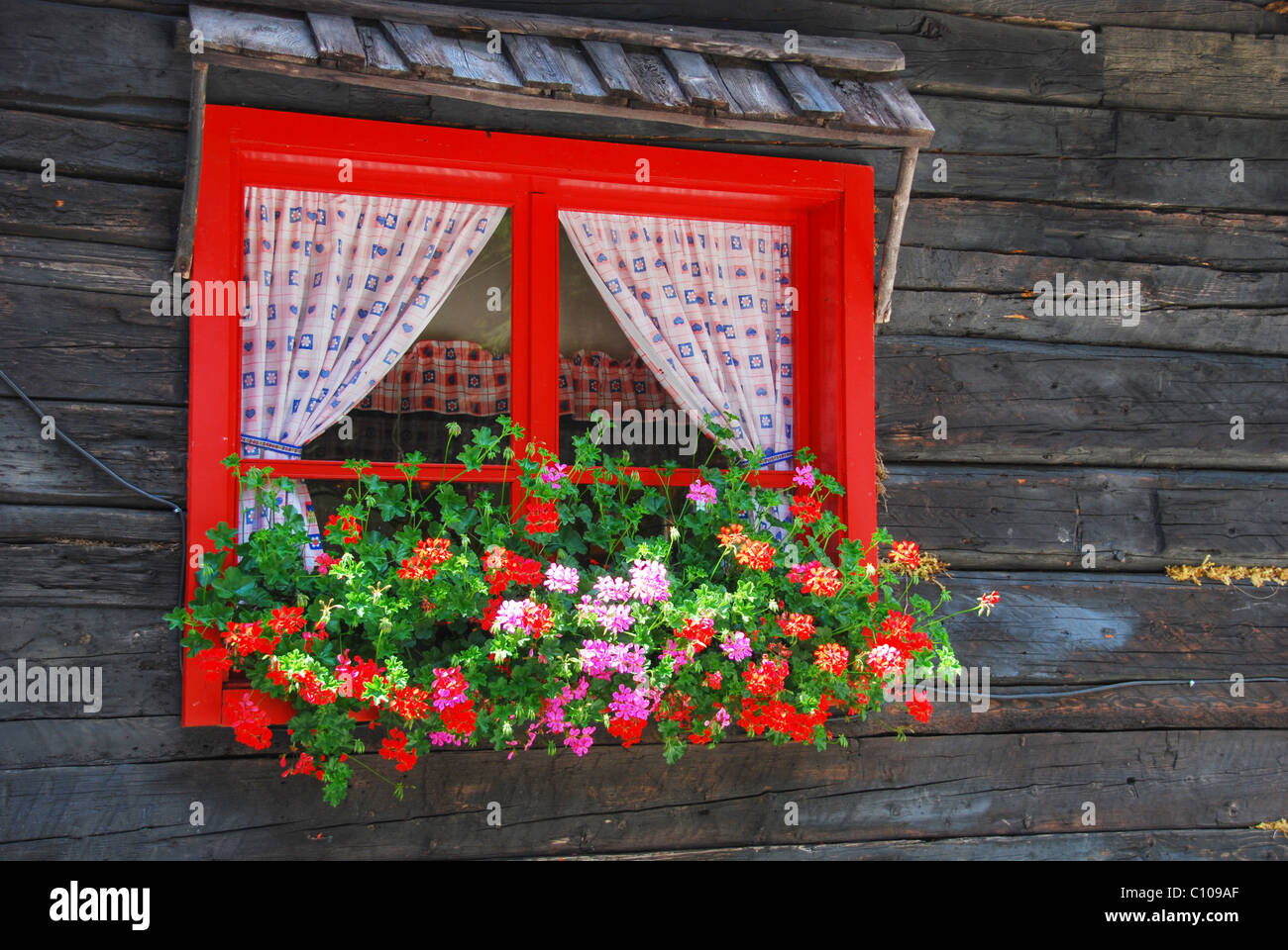 Flowers at the window in a bright summer day Stock Photo - Alamy
