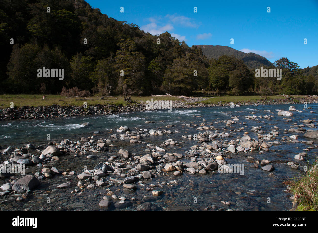 The clear water of the Jackson River in New Zealand's West Coast is ...