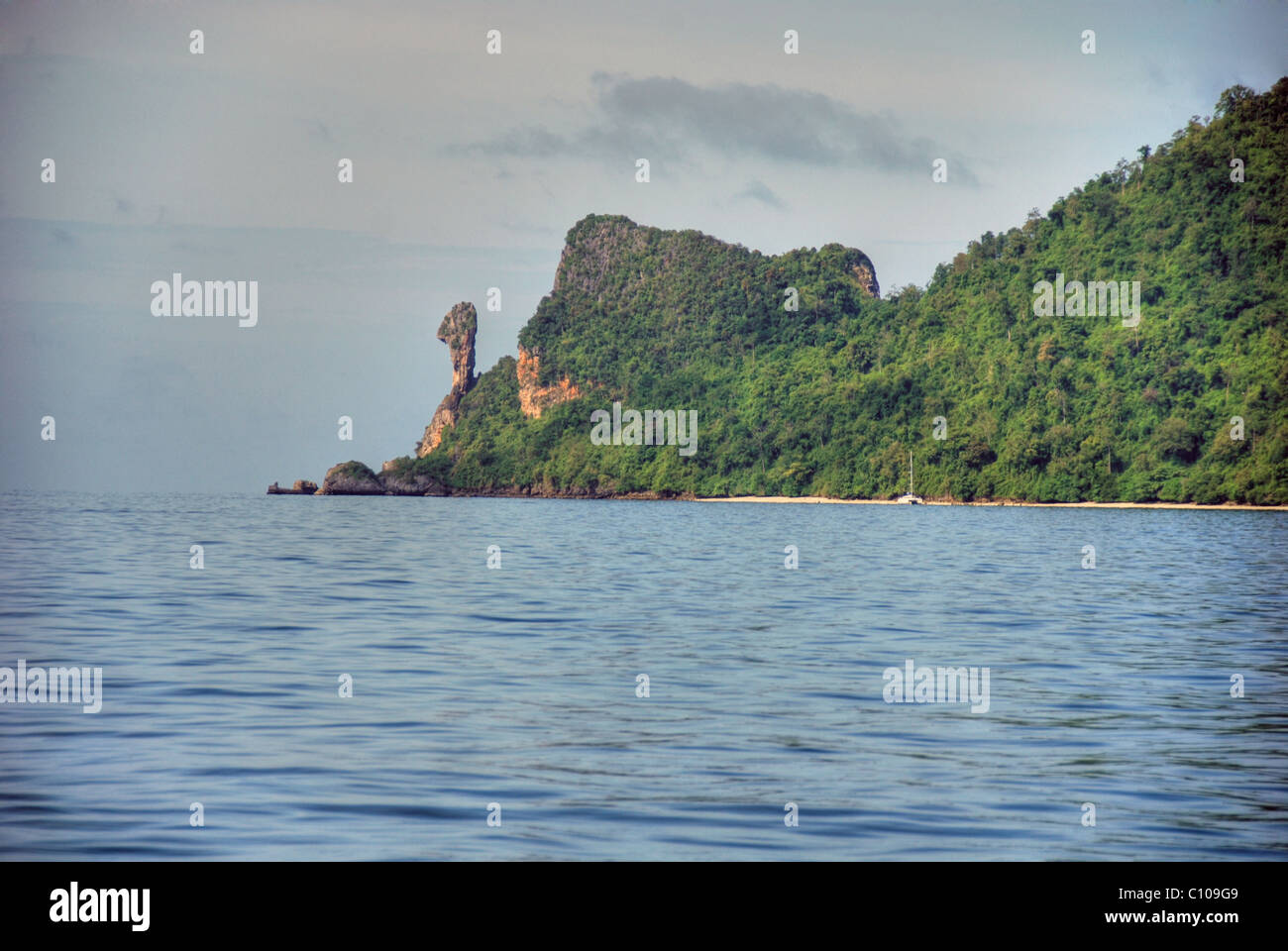 Detail of Chicken Island with water and vegetation Stock Photo - Alamy