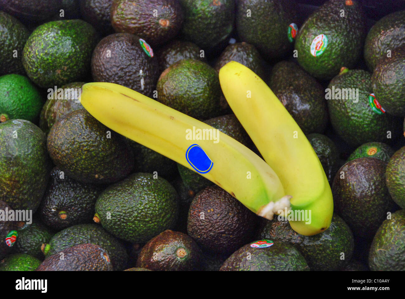 Bananas in a Galveston market, Texas Stock Photo - Alamy