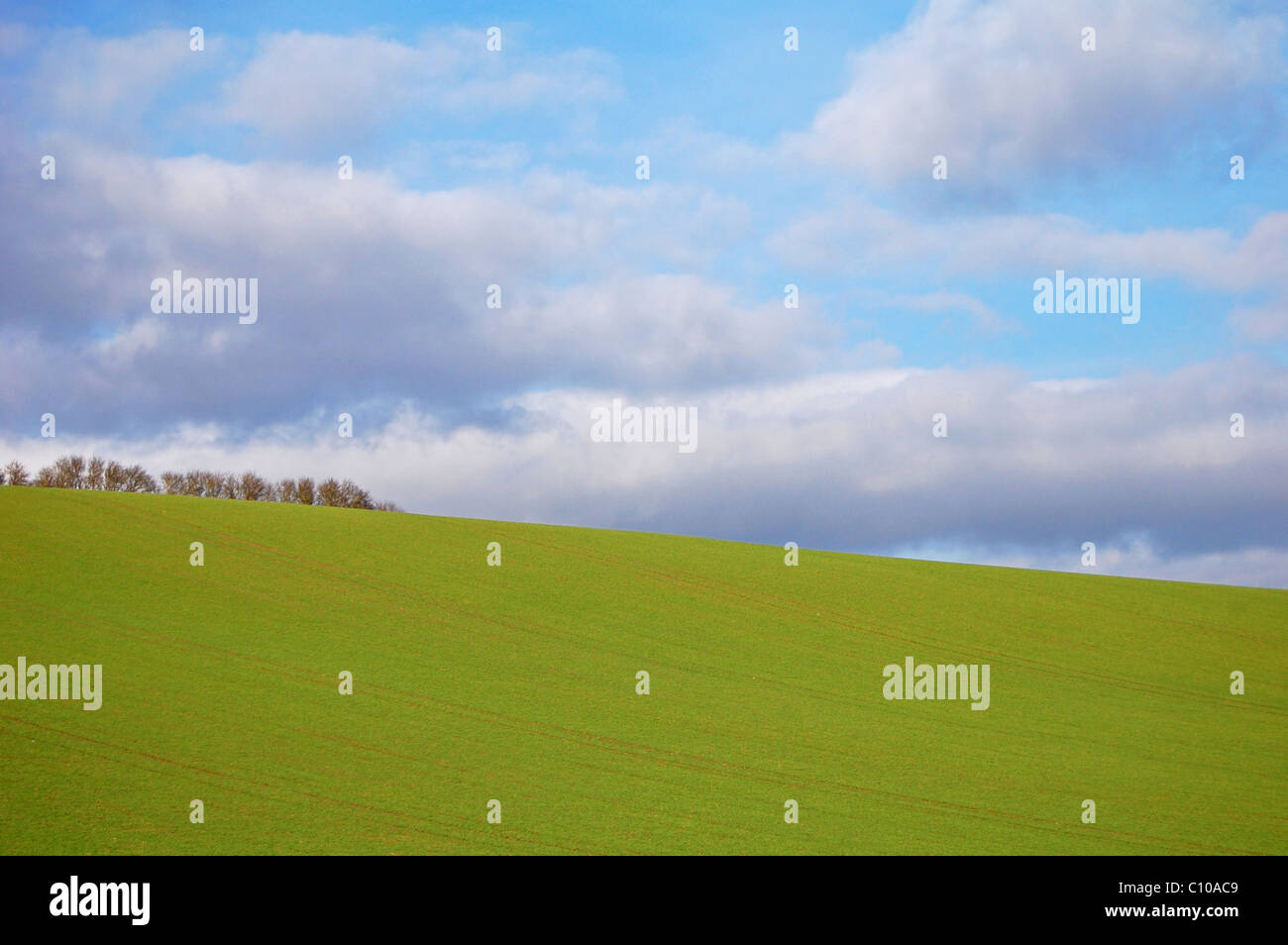 green field with sky contrast and trees on horizon Stock Photo - Alamy