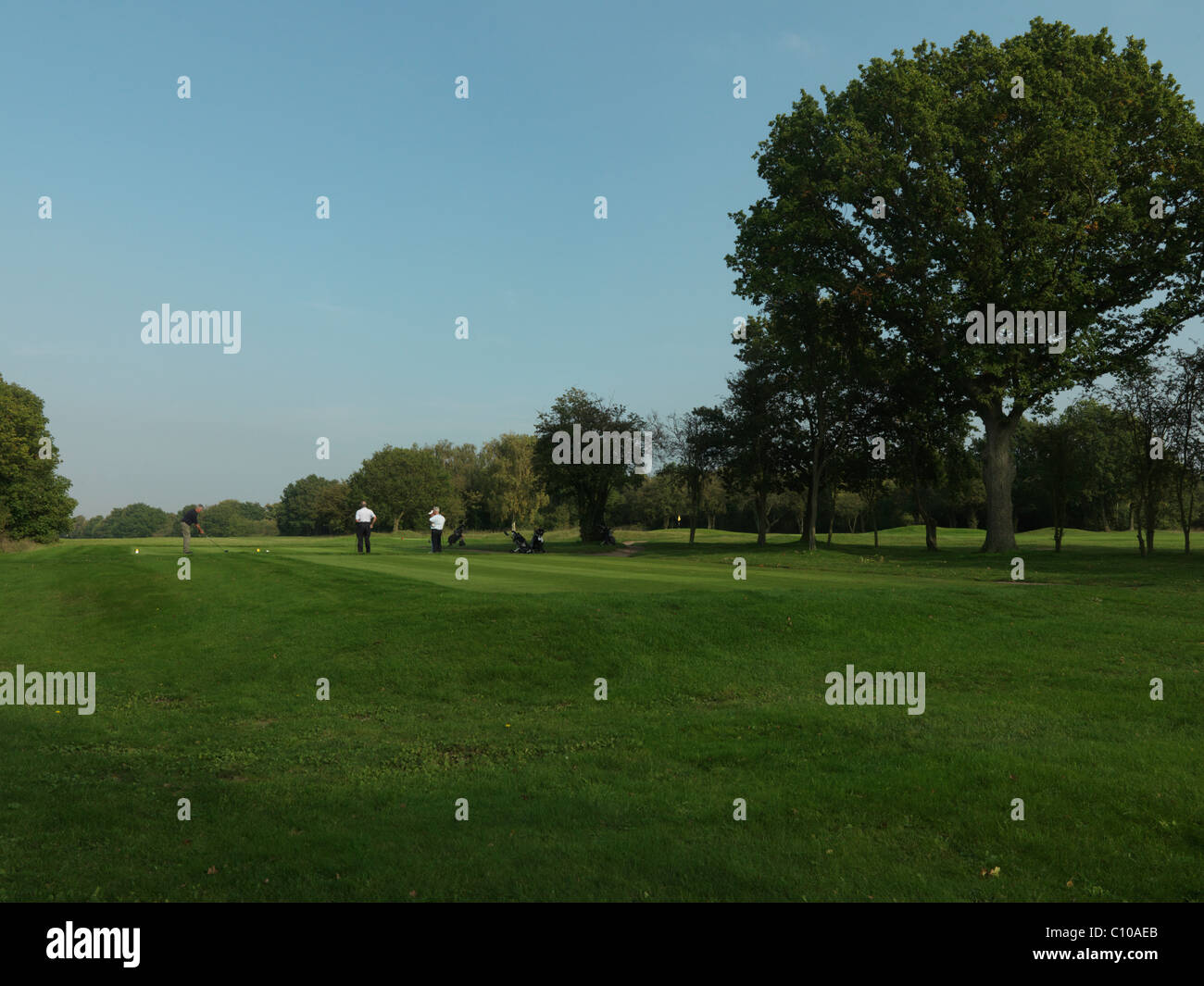Great golfers hi-res stock photography and images - Alamy