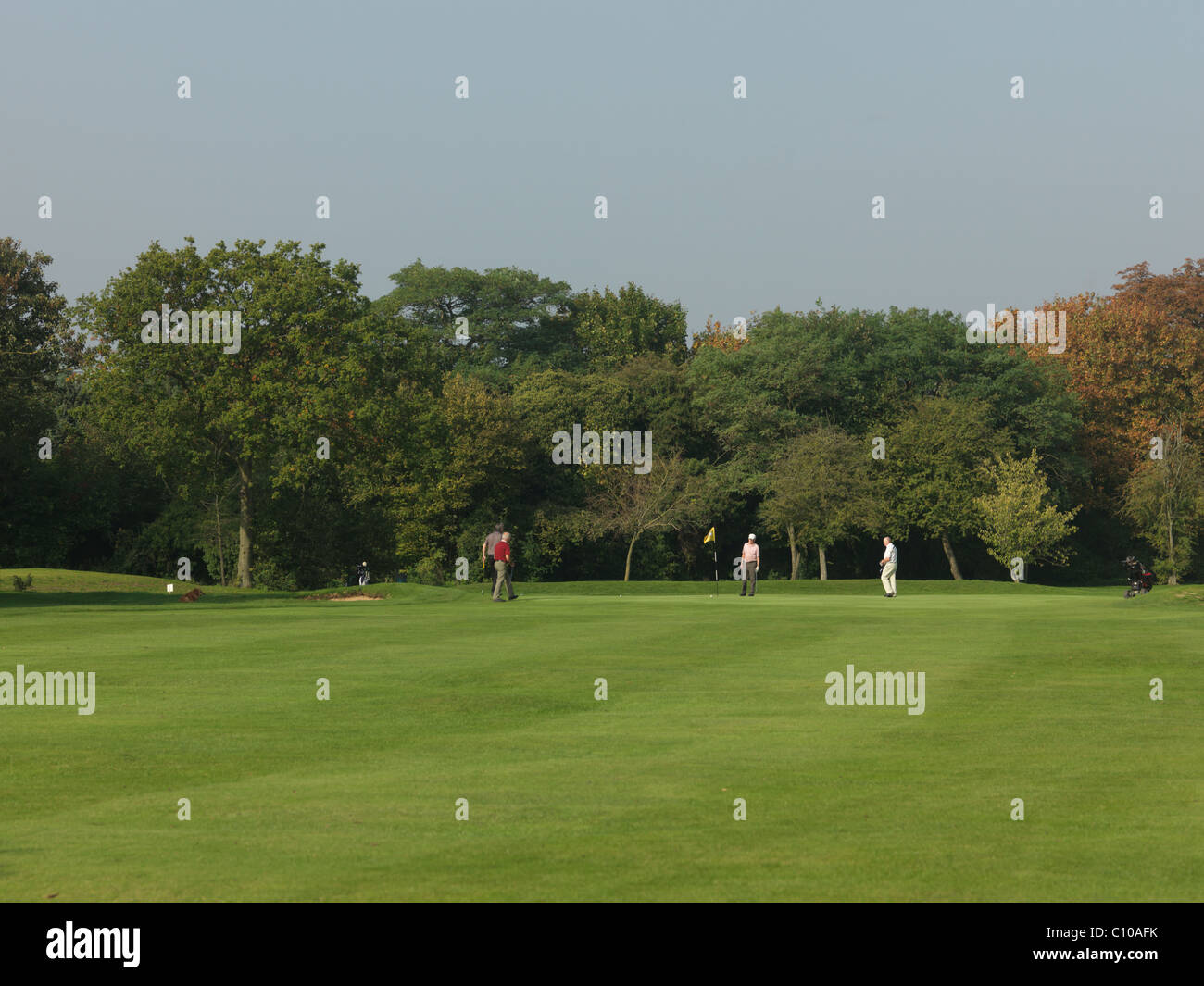 Surrey downs golf course hi-res stock photography and images - Alamy