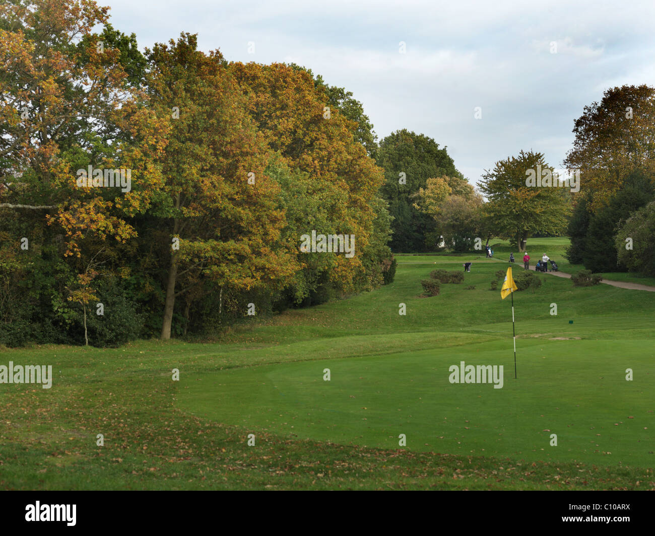 Golf club green hi-res stock photography and images - Alamy