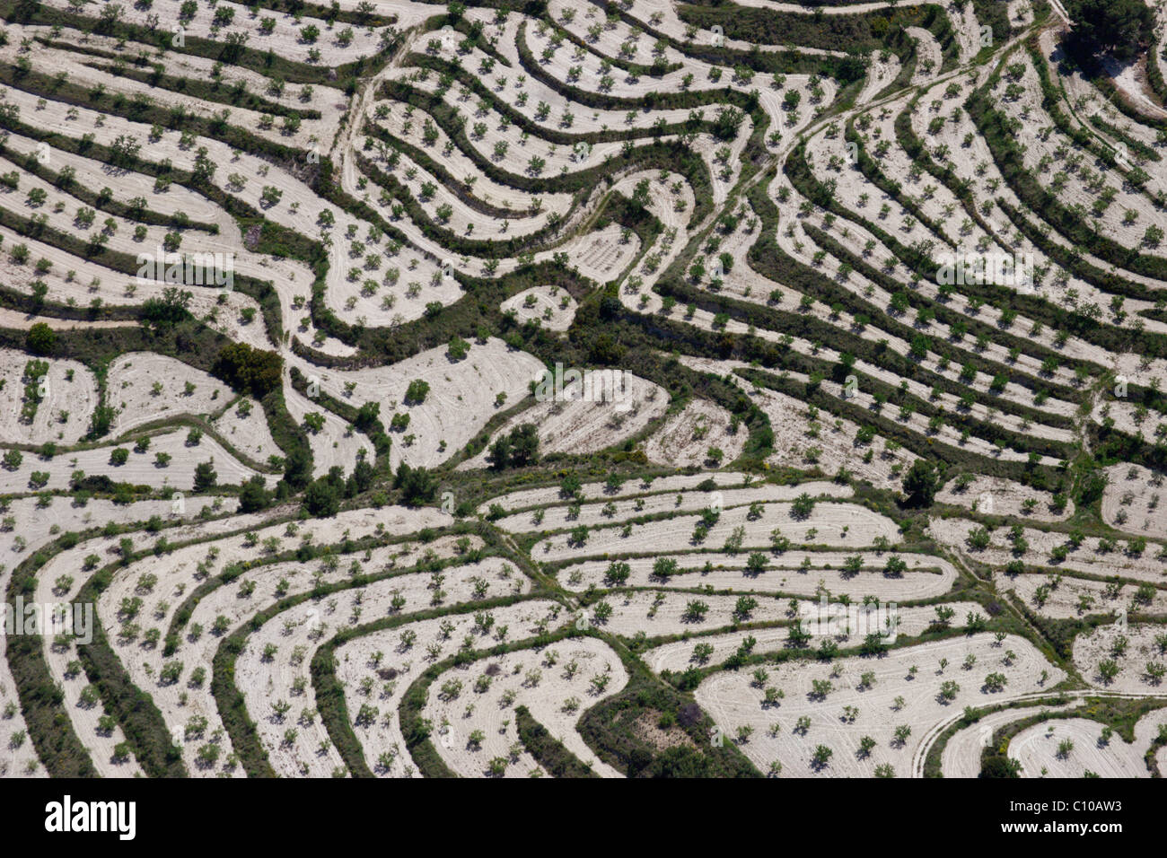 Spain terraced terraces olive grove orchard huerto garden farming Stock ...