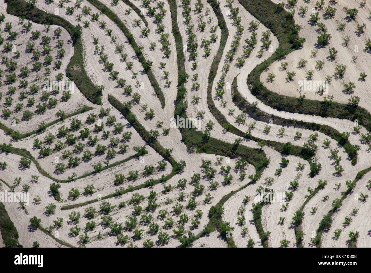 Spain terraced terraces olive grove orchard huerto garden farming Stock ...
