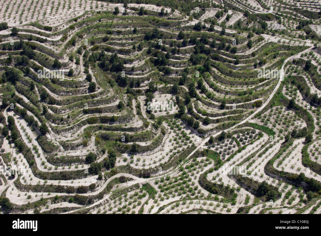 Spain terraced terraces olive grove orchard huerto garden farming Stock ...