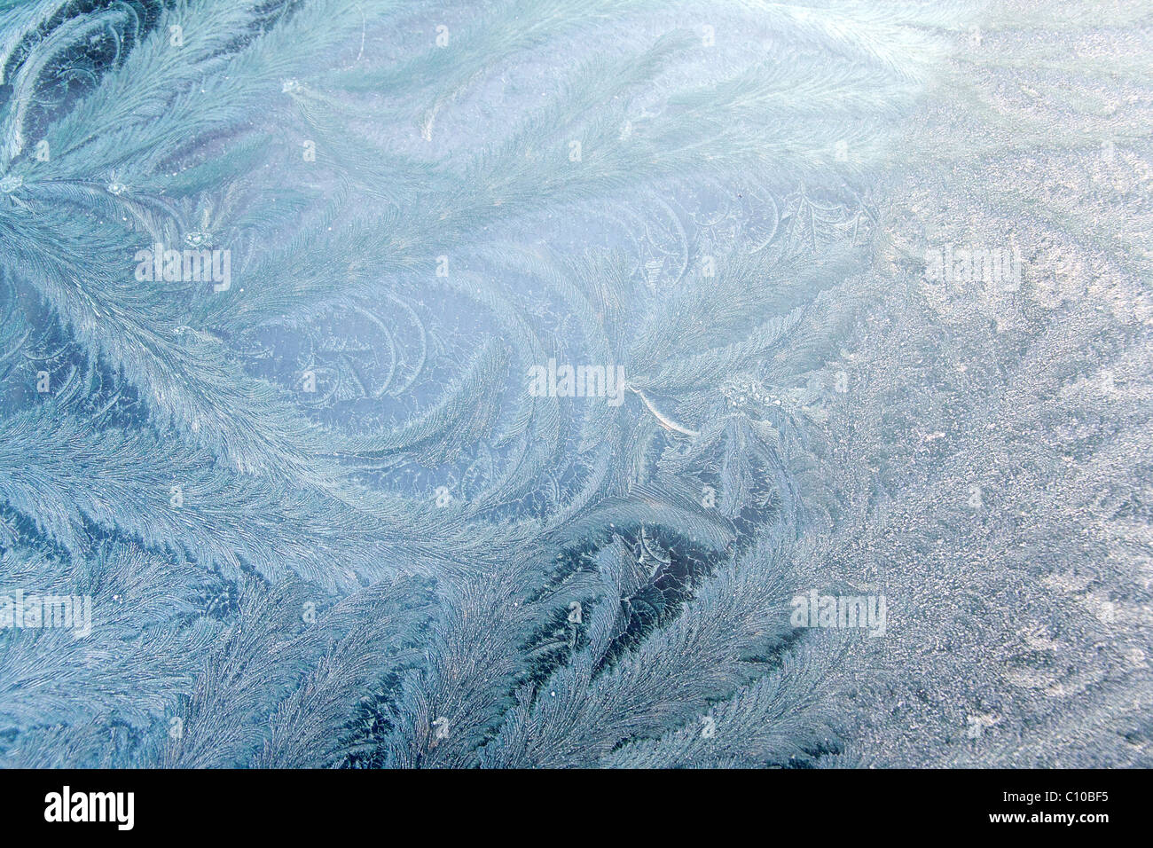 Detailed patterns hi-res stock photography and images - Alamy