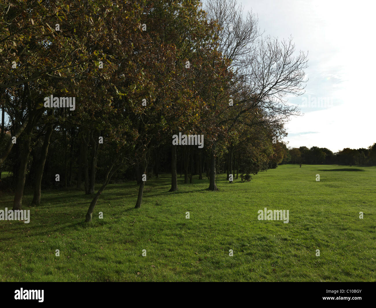 Surrey downs golf course hi-res stock photography and images - Alamy