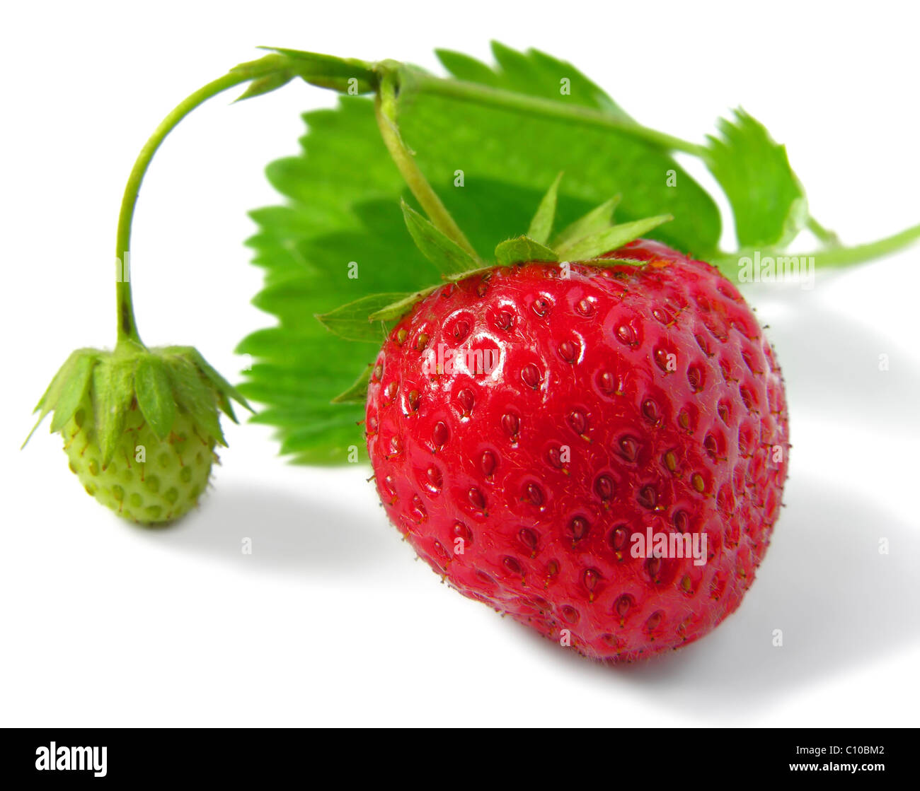 strawberry, isolated on white Stock Photo - Alamy