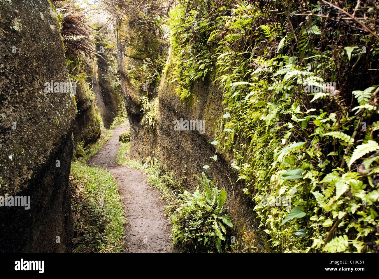 Tunnels in Volcanic Rock - Santa Maria (Floreana o Charles) Island ...