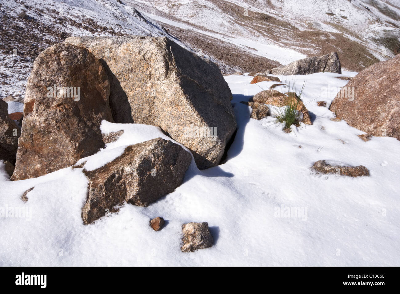 Lonely sprout hi-res stock photography and images - Alamy