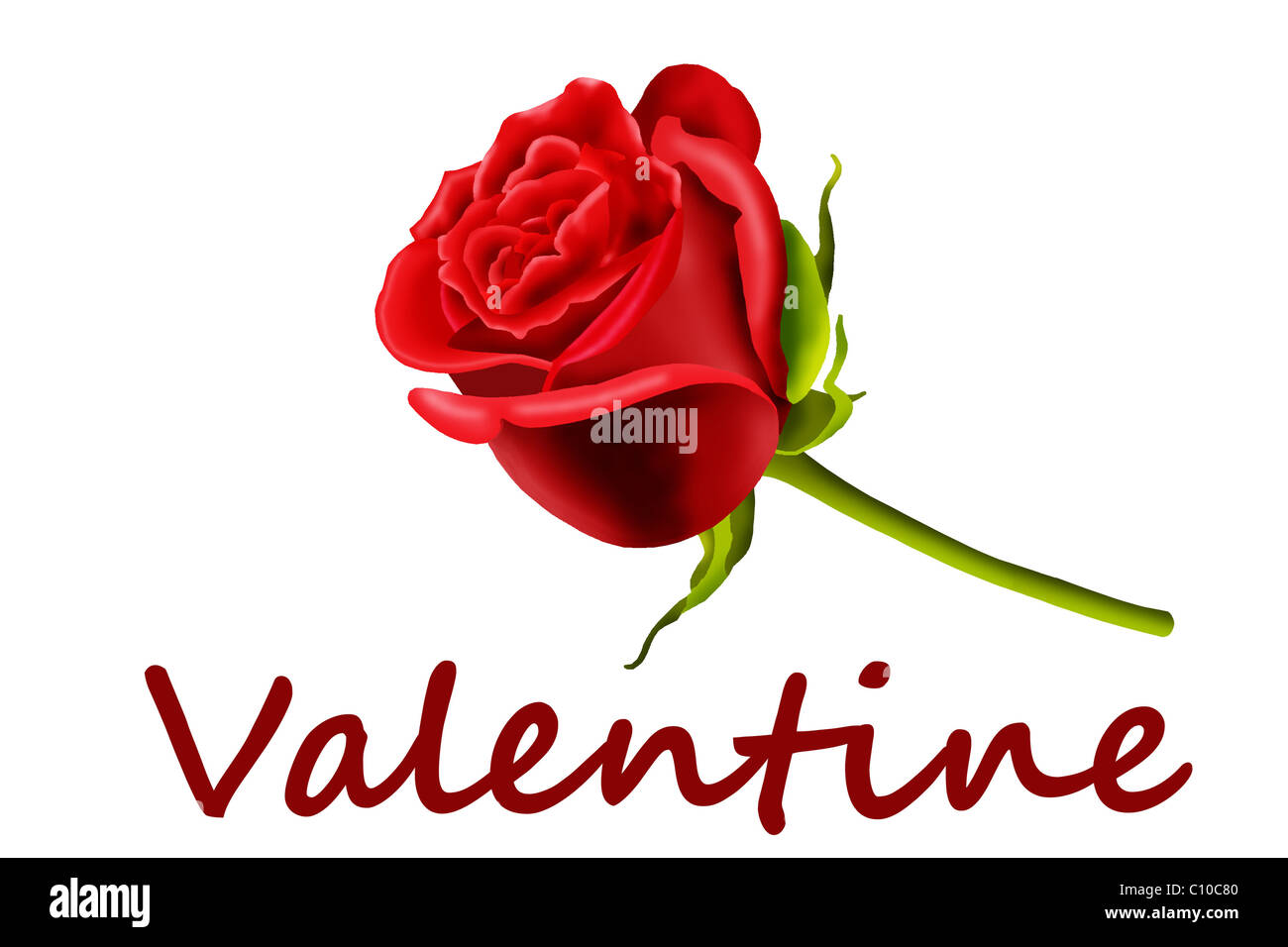 Valentine single red rose Stock Photo - Alamy