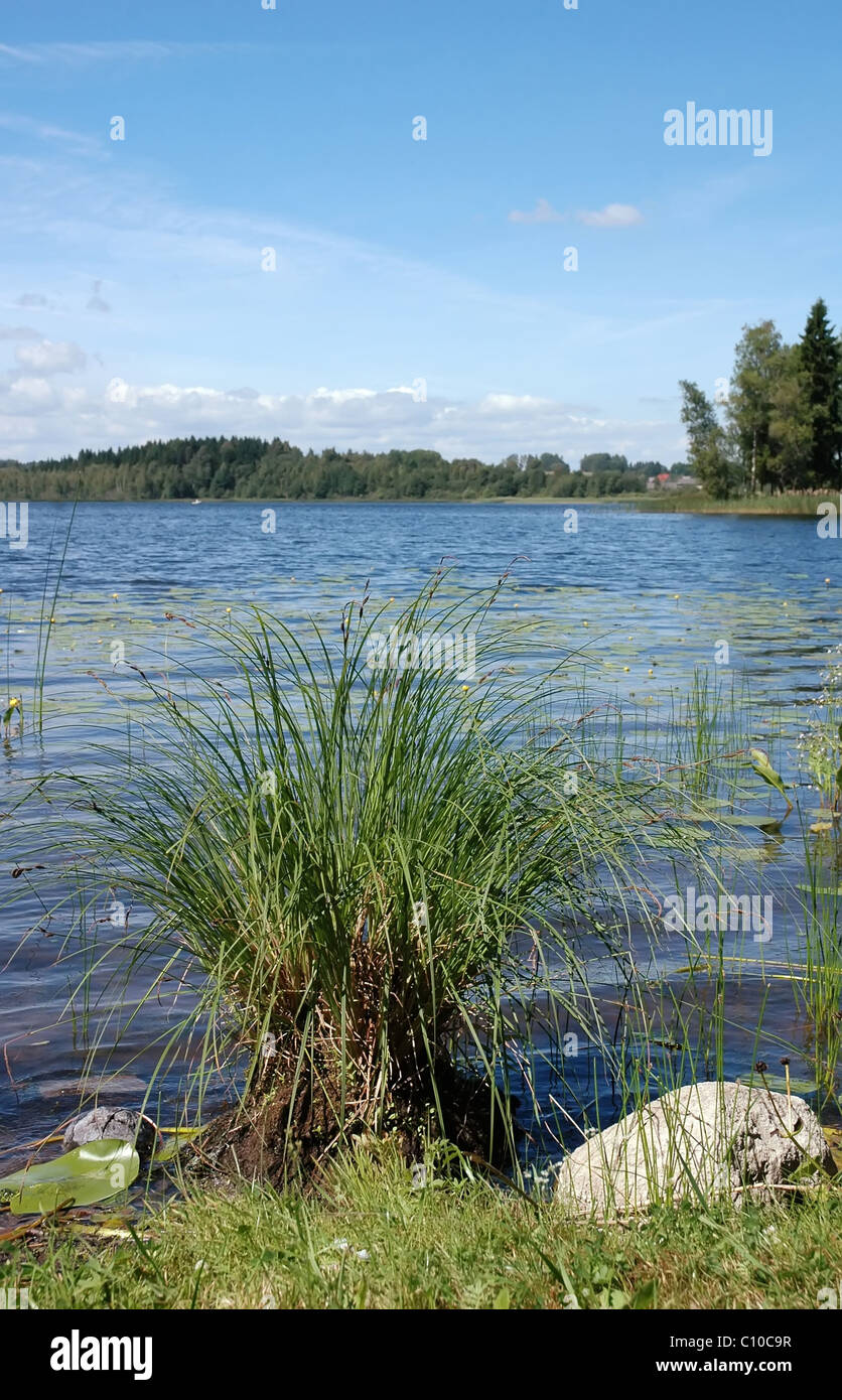 Lakeside section hi-res stock photography and images - Alamy