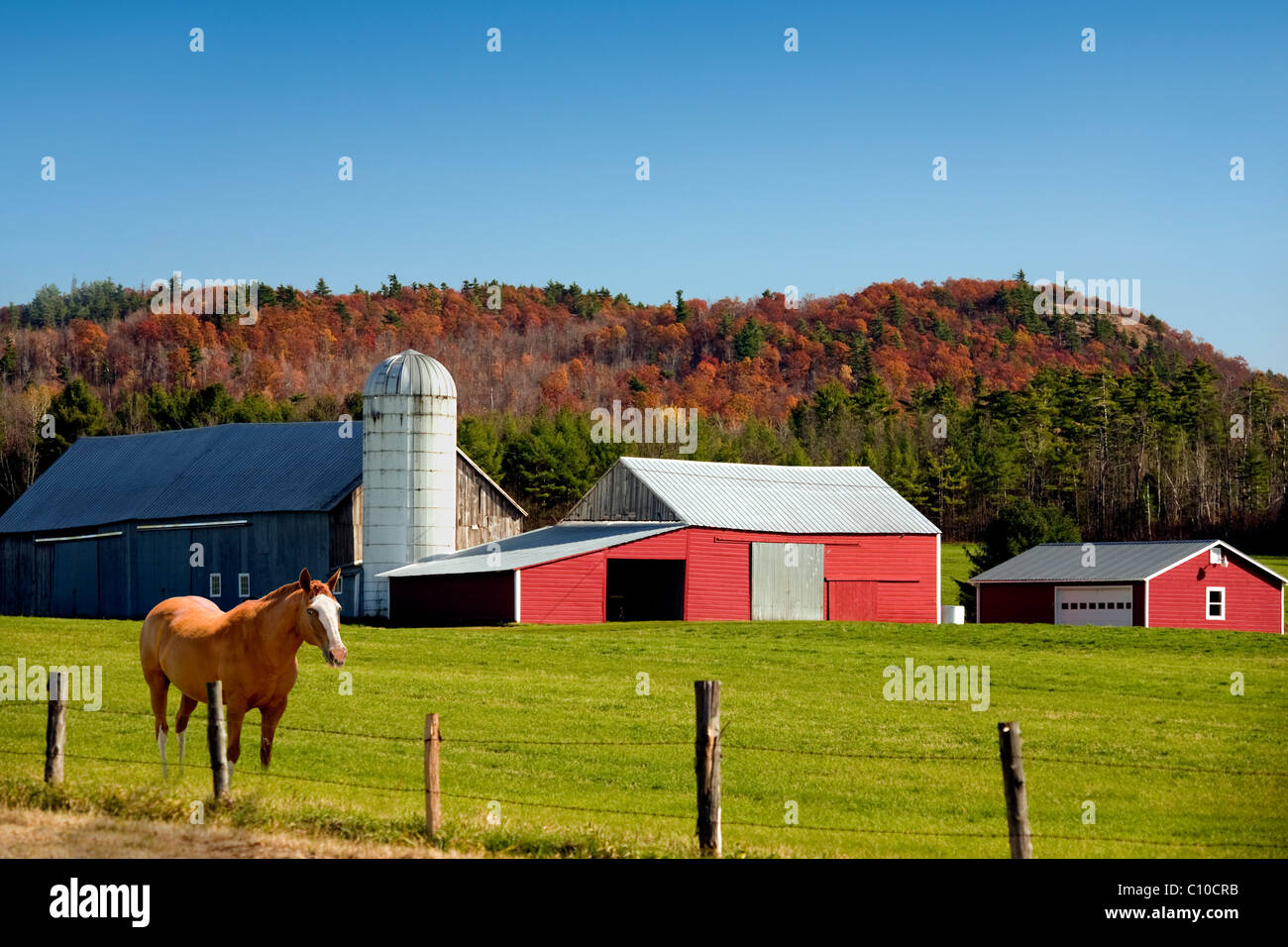 FARM RED BARNS SILO AND HORSE WITH FENCE Stock Photo - Alamy