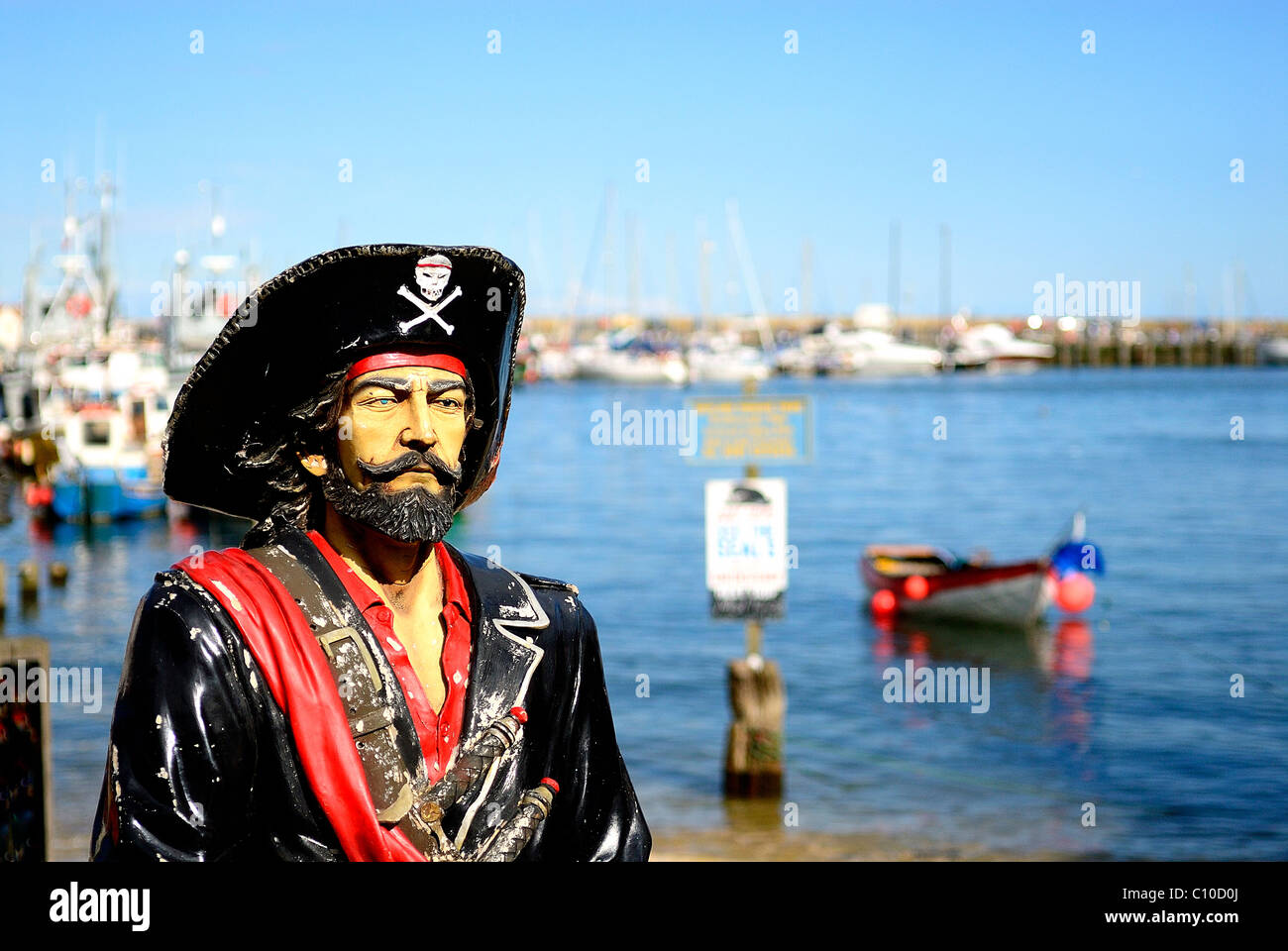A statue of an old bearded sea pirate looking out to sea at Scarborough ...