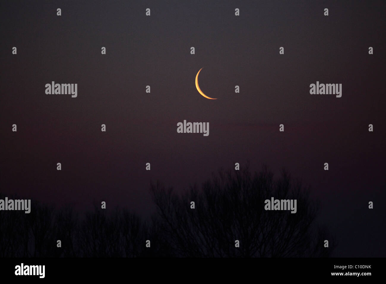 thin crescent moon in dawn sky Stock Photo - Alamy