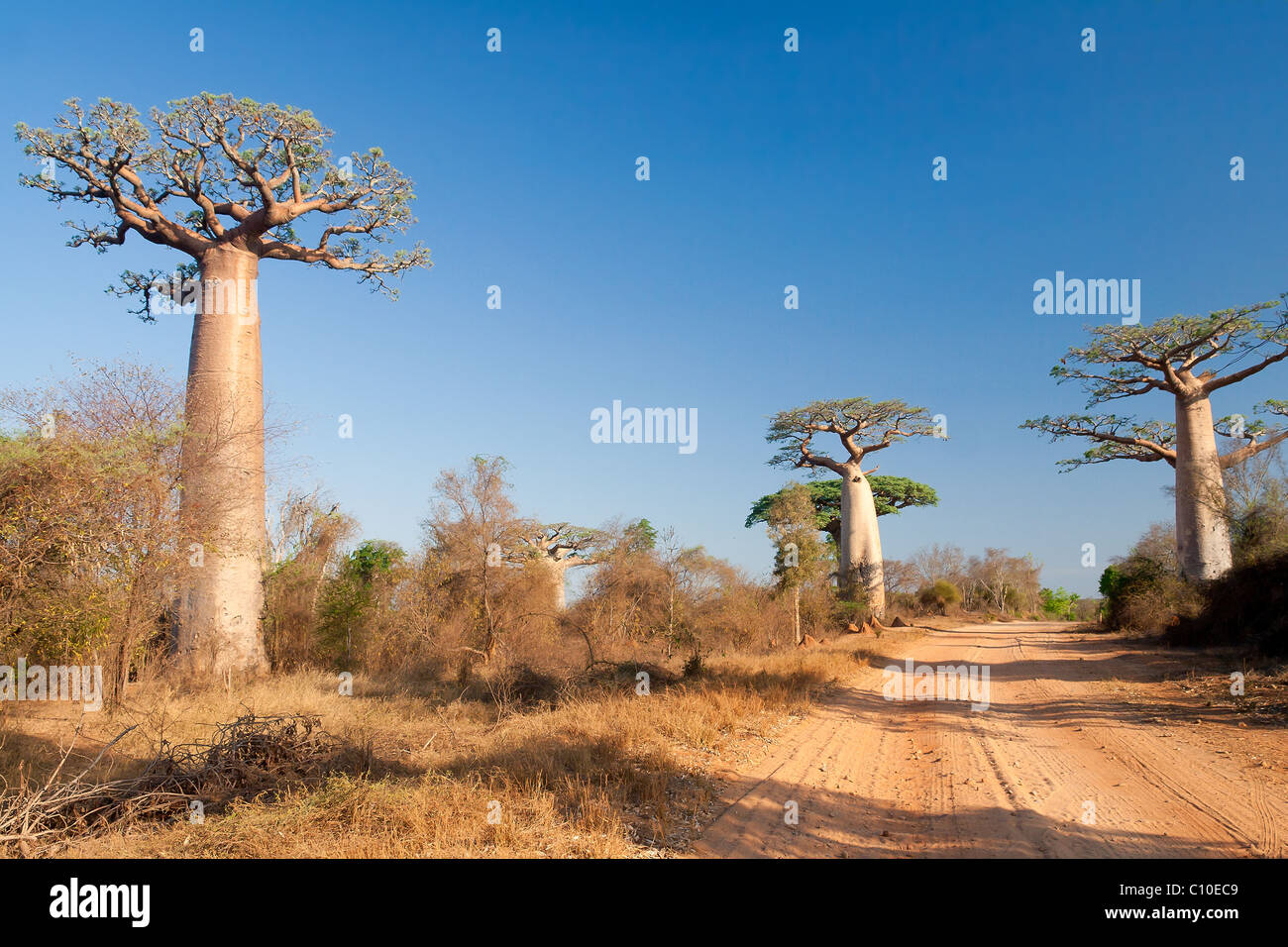 Morombe madagascar hi-res stock photography and images - Alamy