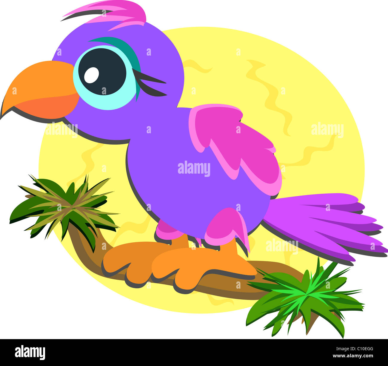 Cute Baby Parrot on a Branch Stock Photo - Alamy