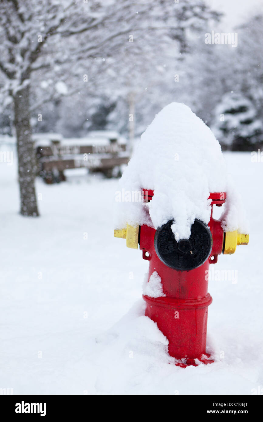A fire hydrant covered in snow right outside View Royal Park in View ...