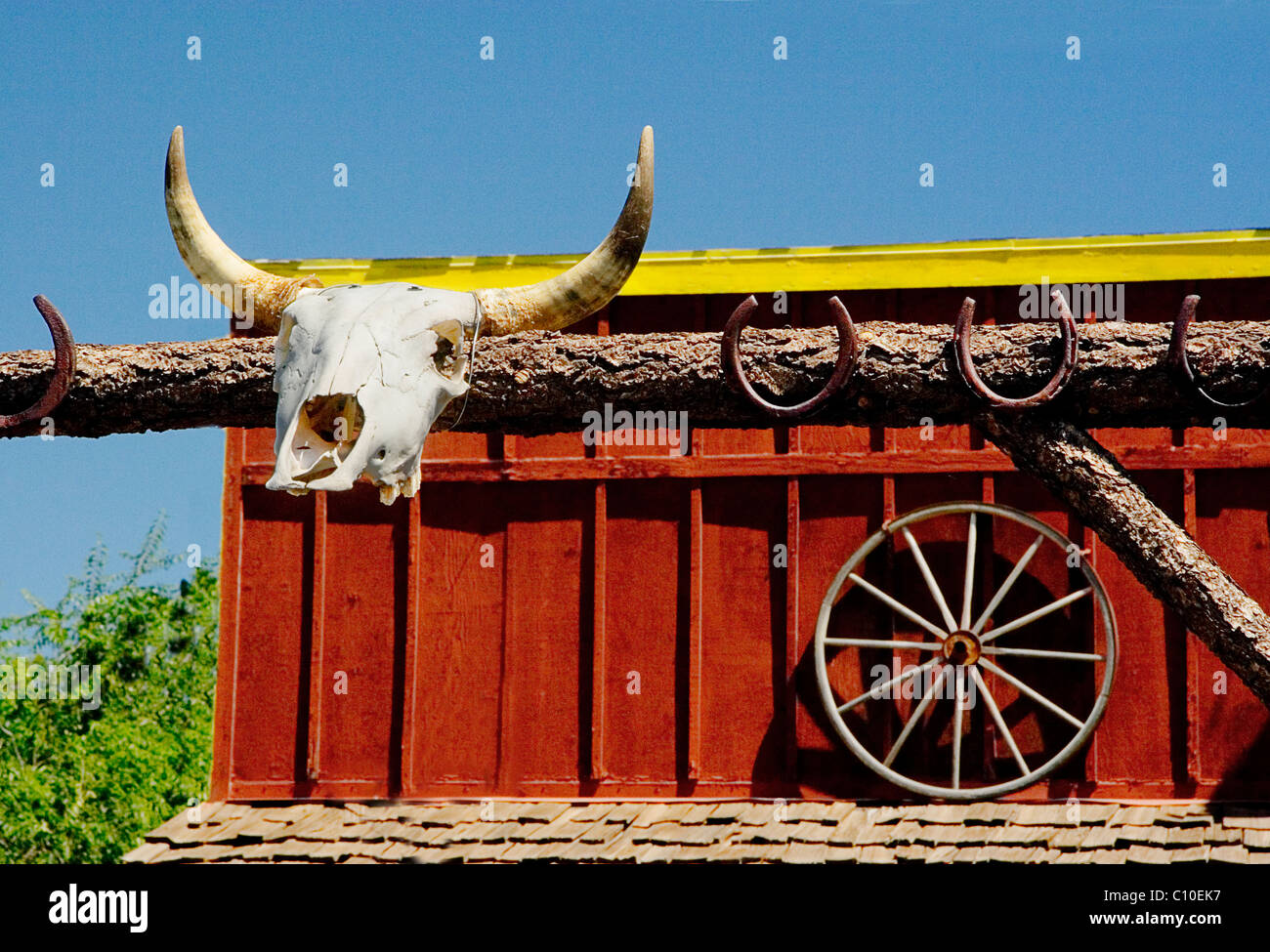 COW'S SKELETON HEAD ON POLE IN FRONT OF OLD WEST BLDG Stock Photo - Alamy