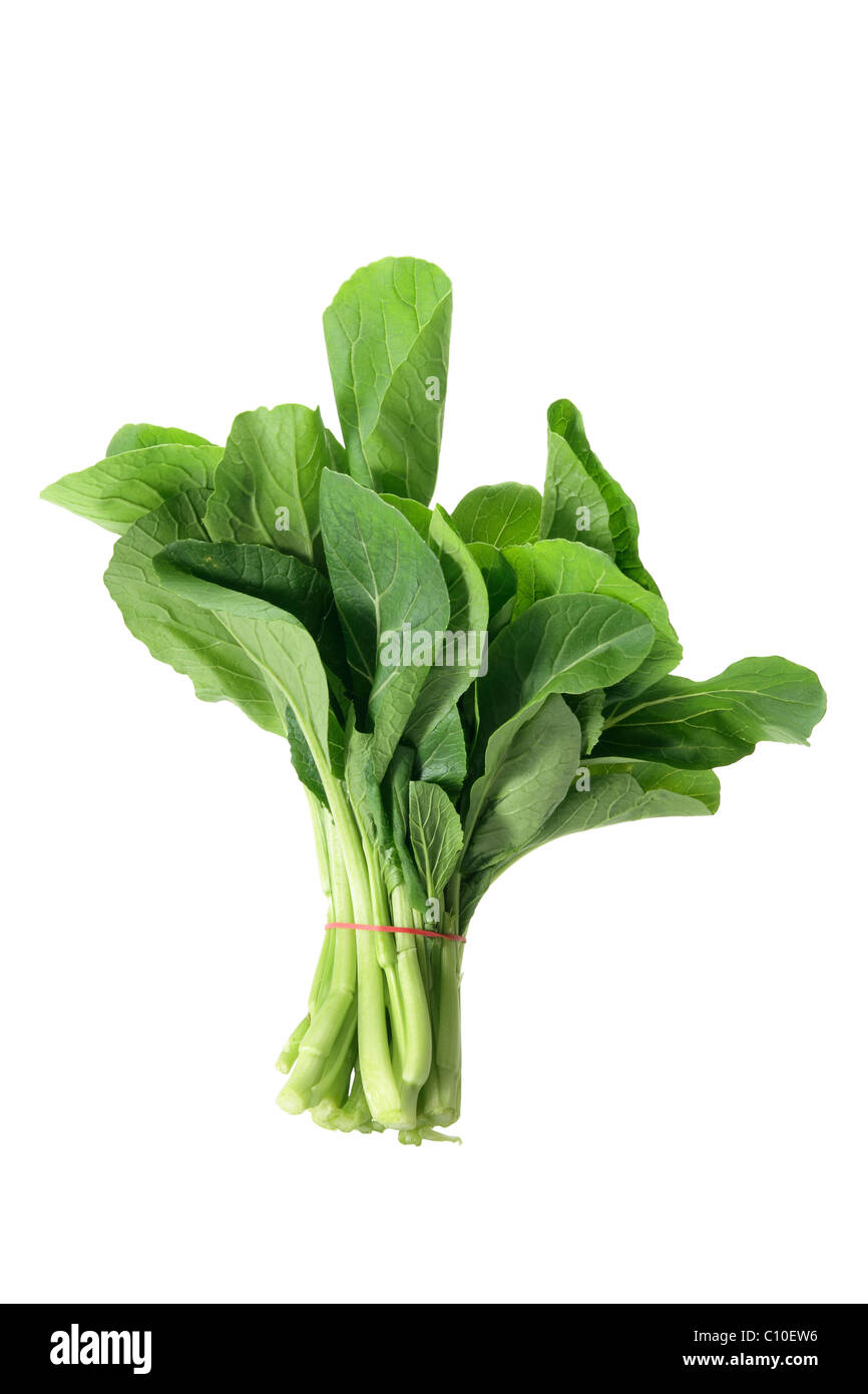 Chinese vegetable choy sum hi-res stock photography and images - Alamy