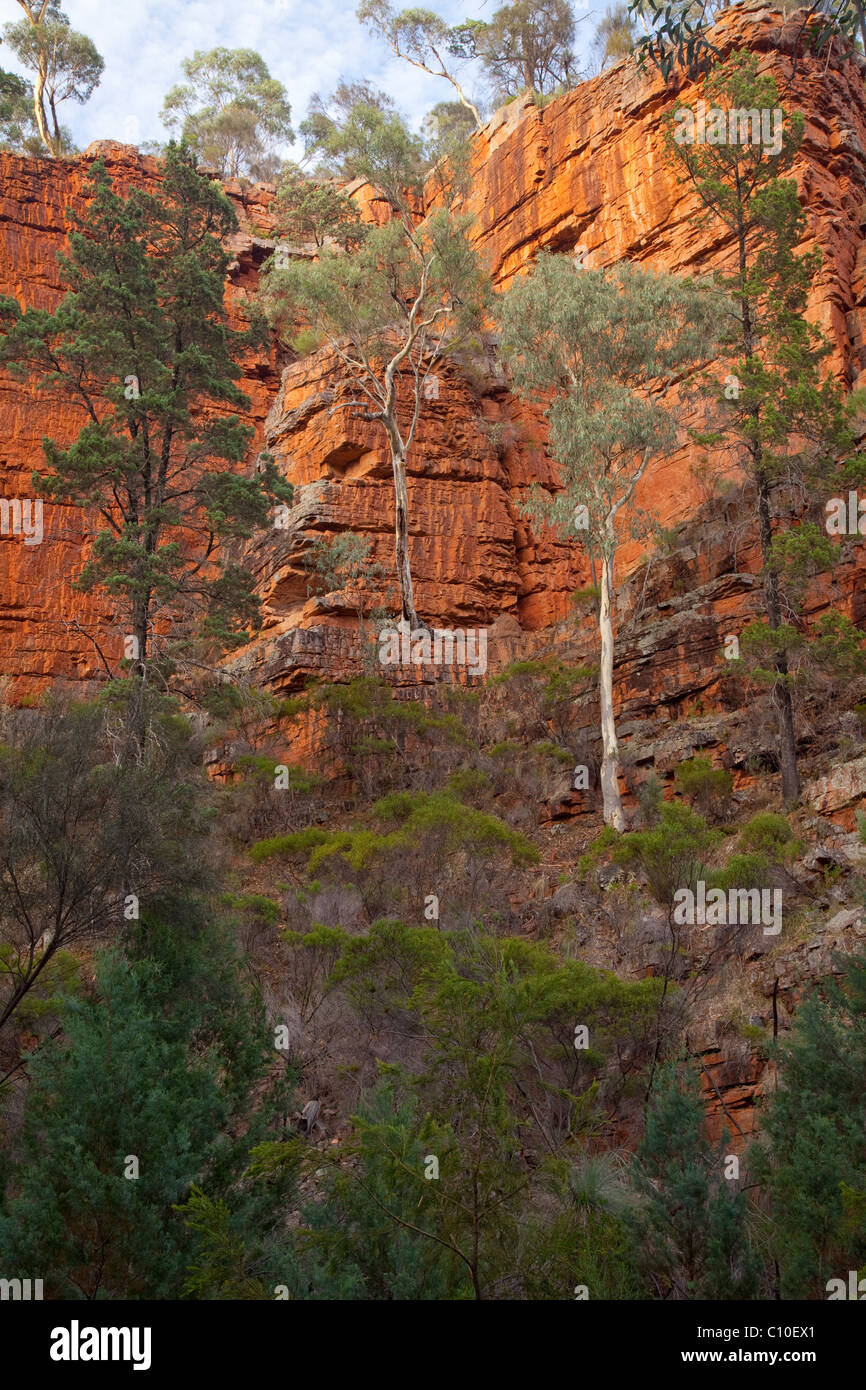 Alligator Gorge, Mount Remarkable National Park, South Australia ...