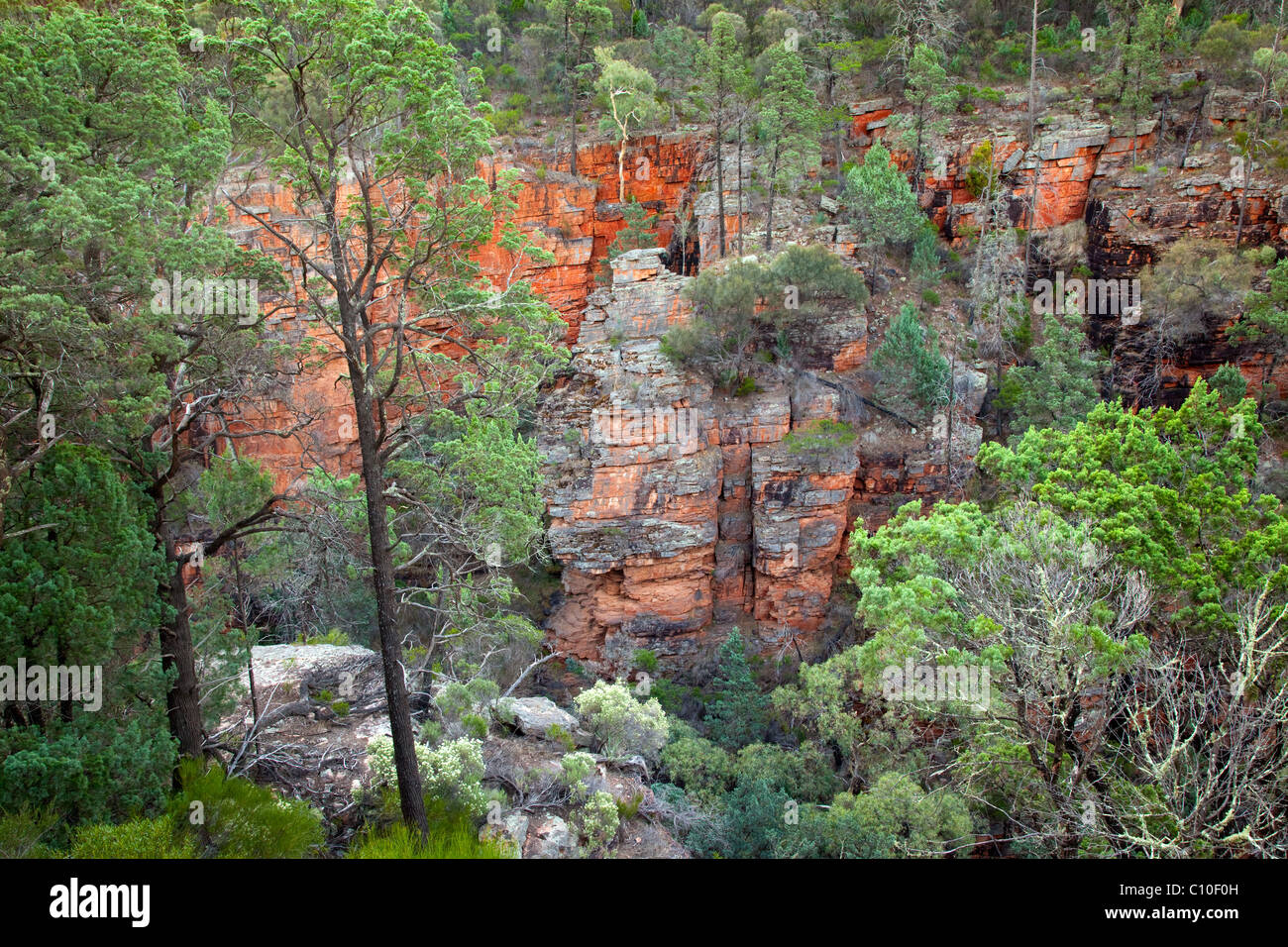 Mount remarkable australia hi-res stock photography and images - Alamy