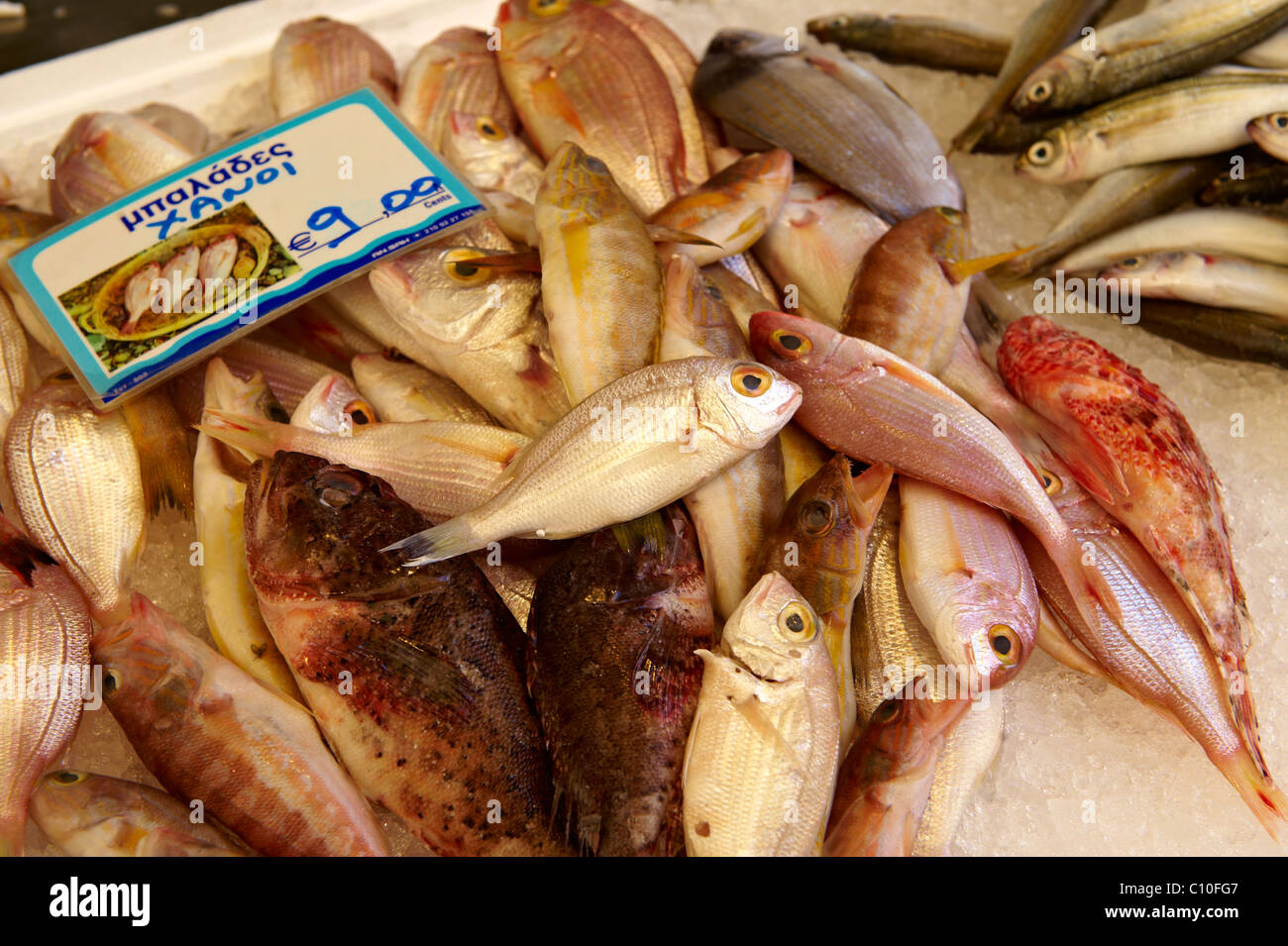 Fish in the fish market Ermoupolis, Syros Island [ Σύρος ] , Greek ...
