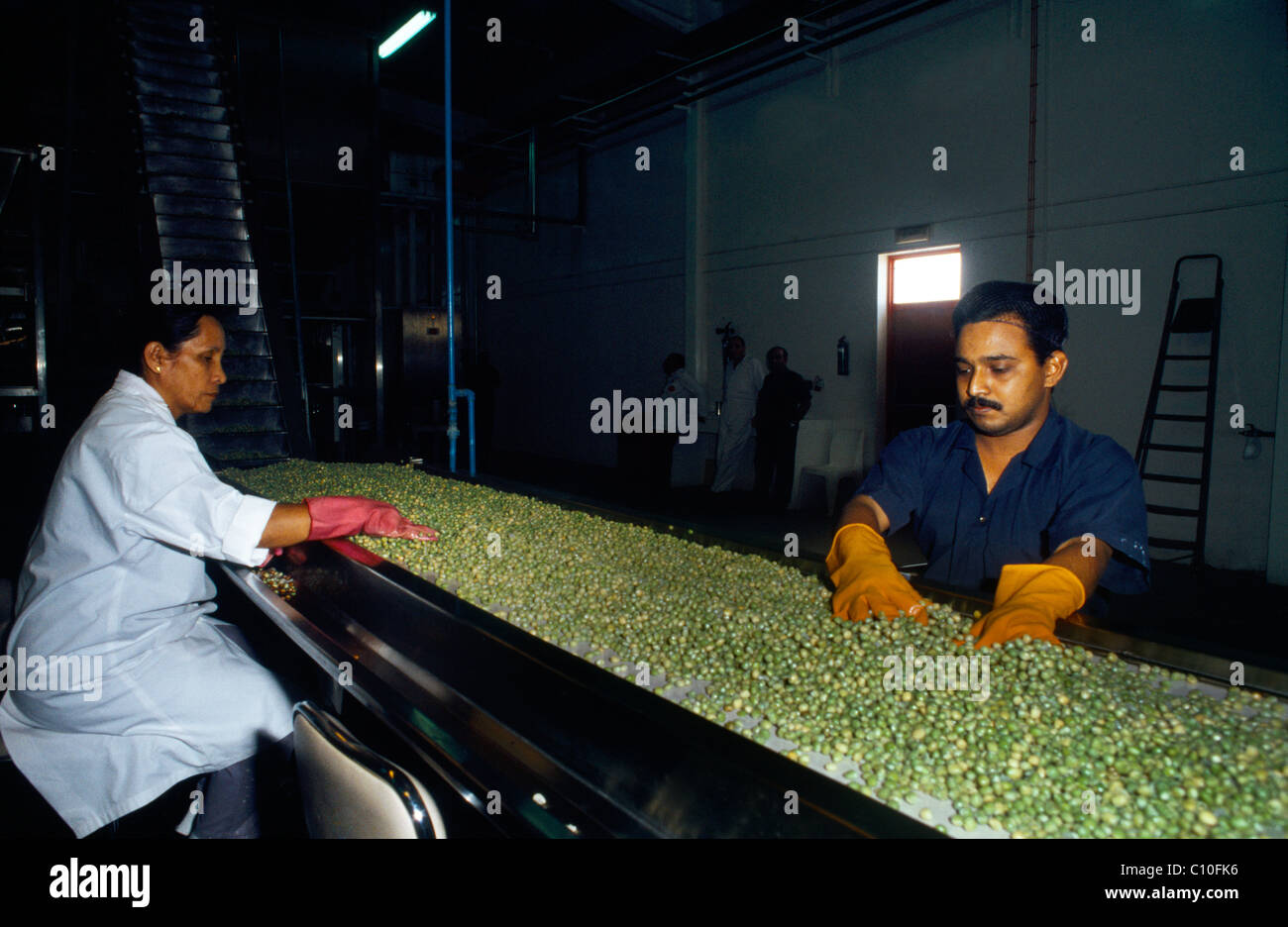 Dubai UAE Jebel Ali Free Trade Zone Food Processing Conveyor Belt New ...