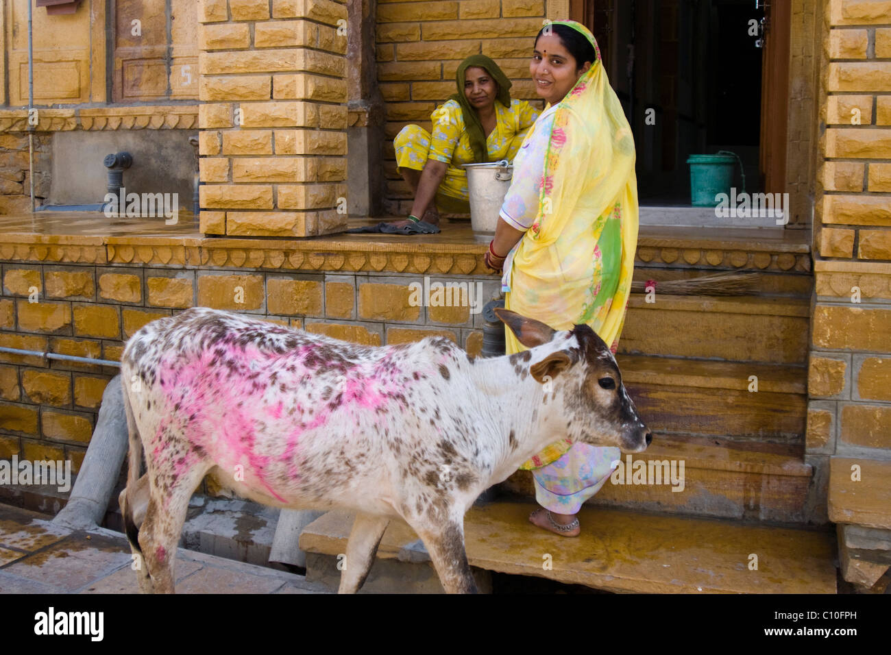Two Indian women seating outside their home and a cow passing by ...
