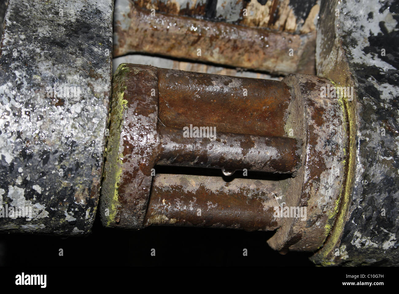 River Ryton High Resolution Stock Photography and Images - Alamy