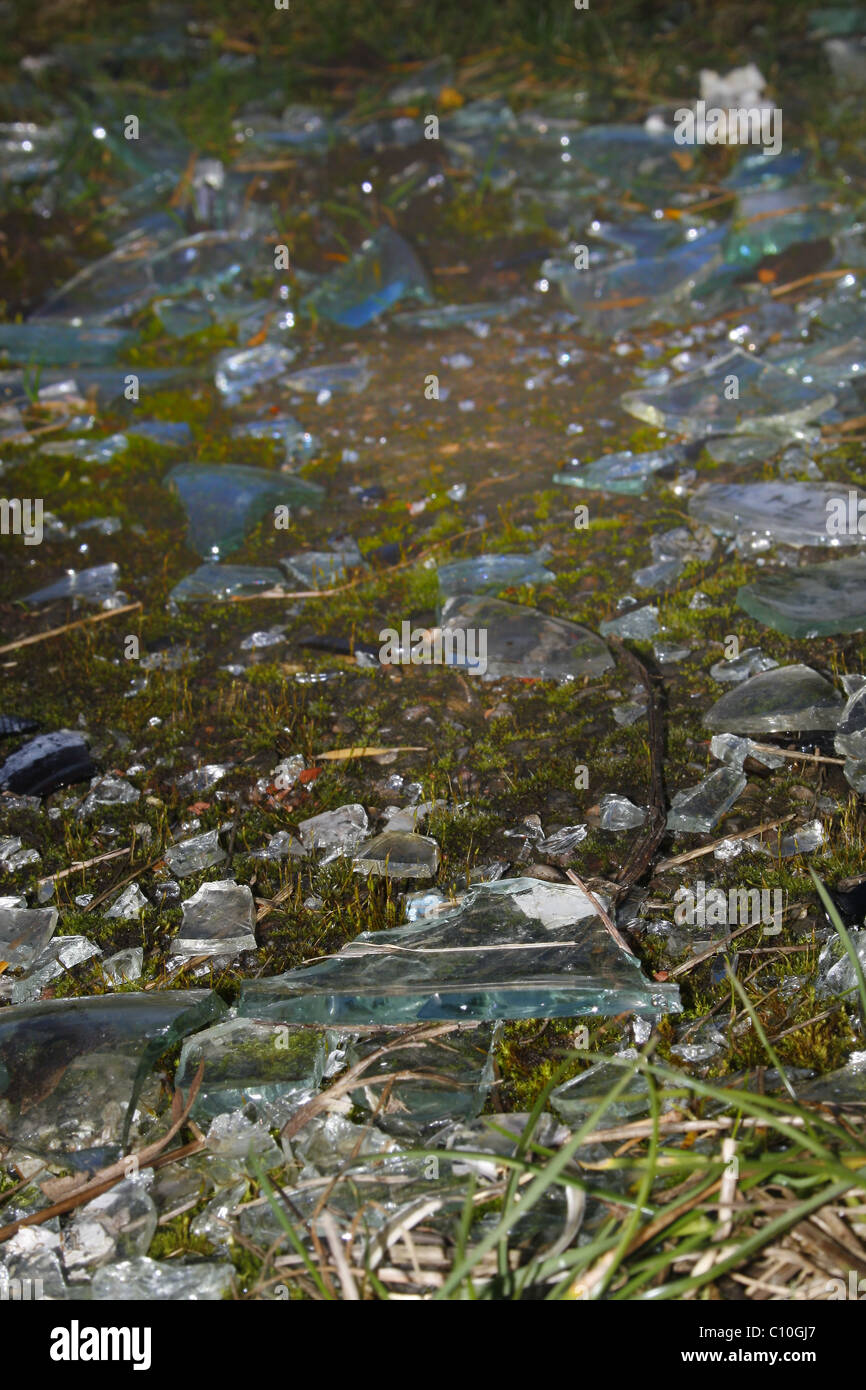 image of clear broken glass on ground Stock Photo - Alamy