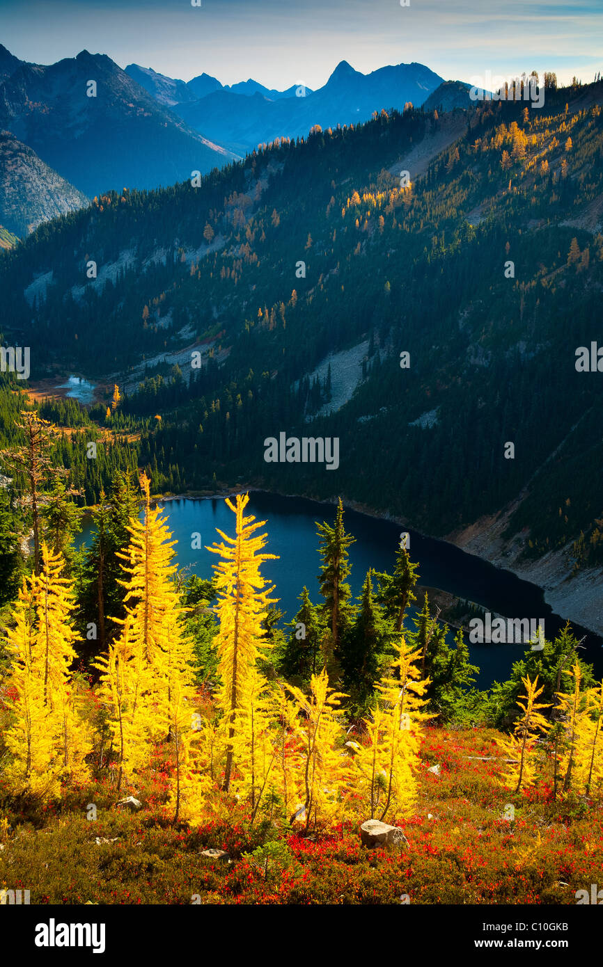Mountain Larches at Lake Ann along the Maple Pass loop trial in the ...