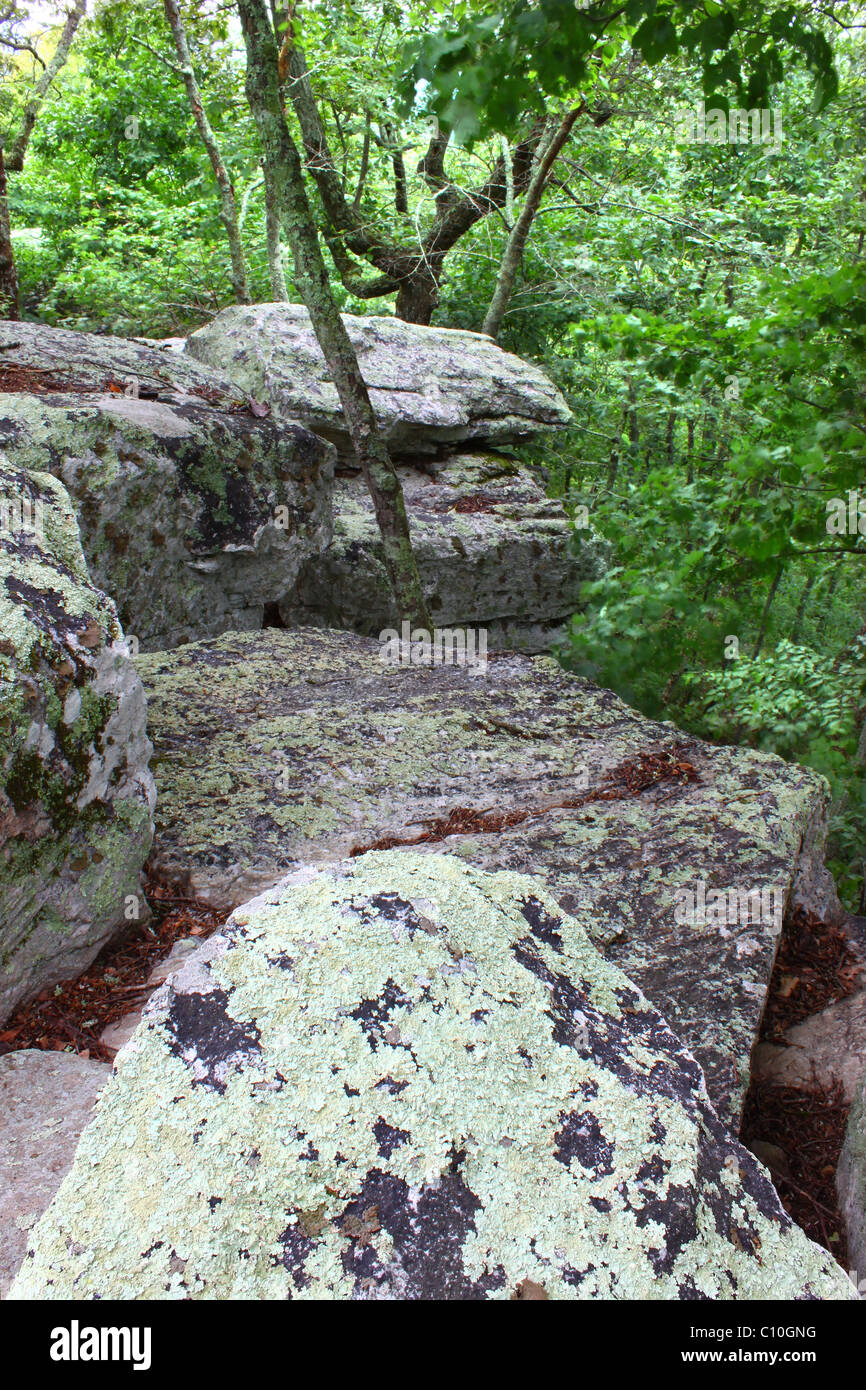 Cheaha State Park Stock Photos & Cheaha State Park Stock Images - Alamy