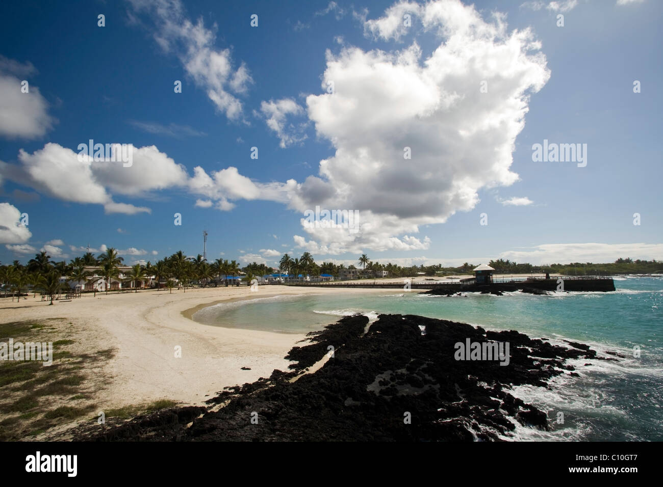 Isabela island galapagos hi-res stock photography and images - Alamy