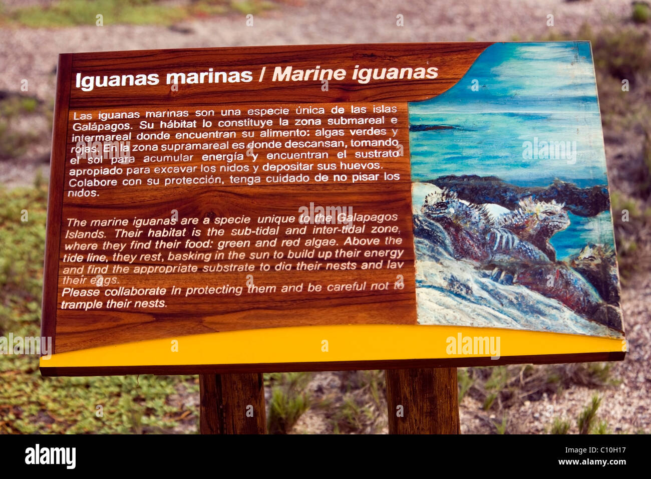 Tortuga island sign hi-res stock photography and images - Alamy