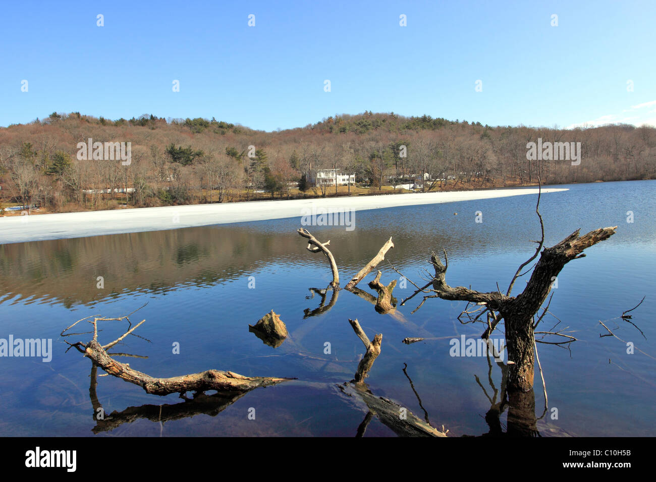 Thawing pond, Cold Spring Harbor, Long Island NY Stock Photo - Alamy