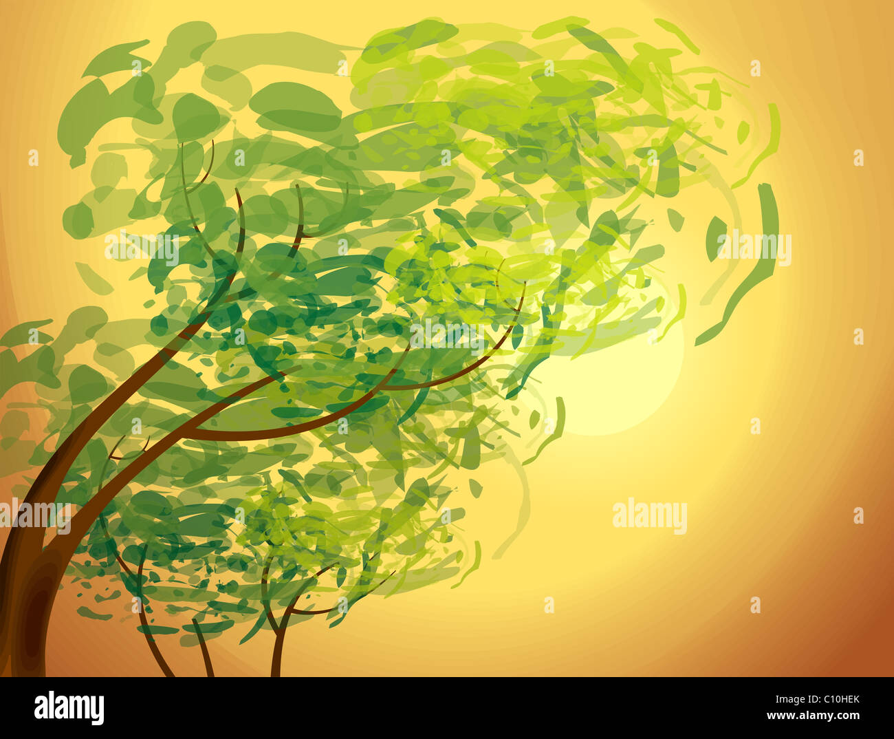 tree in a sunny background Stock Photo - Alamy