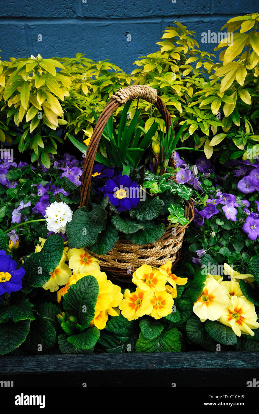 Spring flower display hi-res stock photography and images - Alamy