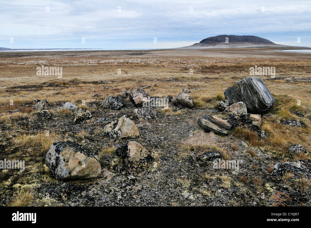 Arctic Tundra Layers Of Soil