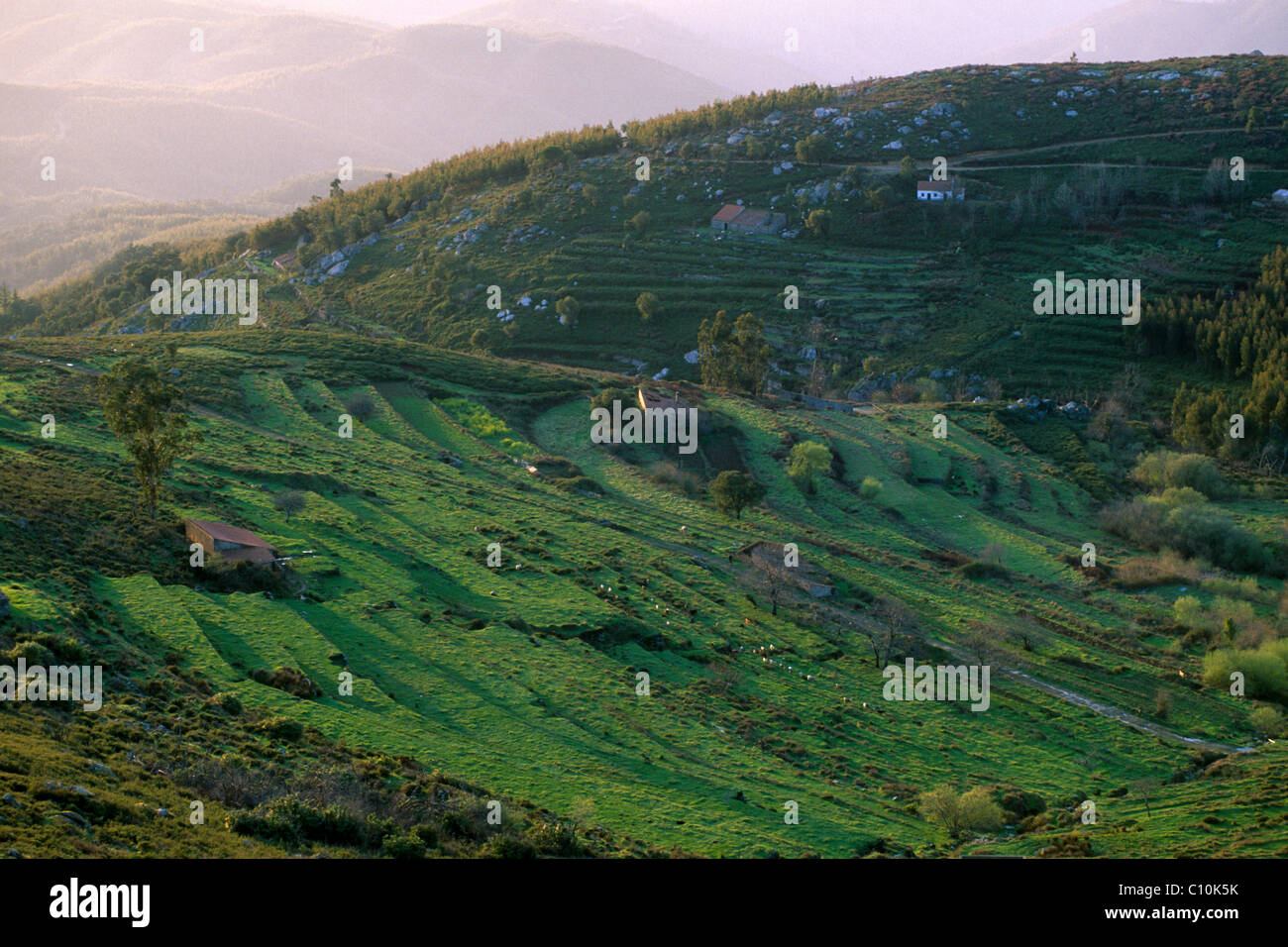 Serra de Monchique, Monchique, Algarve, Portugal, Europe Stock Photo ...