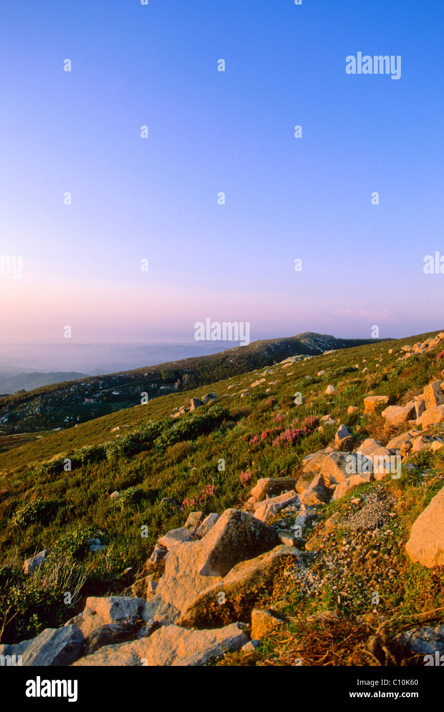 Foja mountains hi-res stock photography and images - Alamy