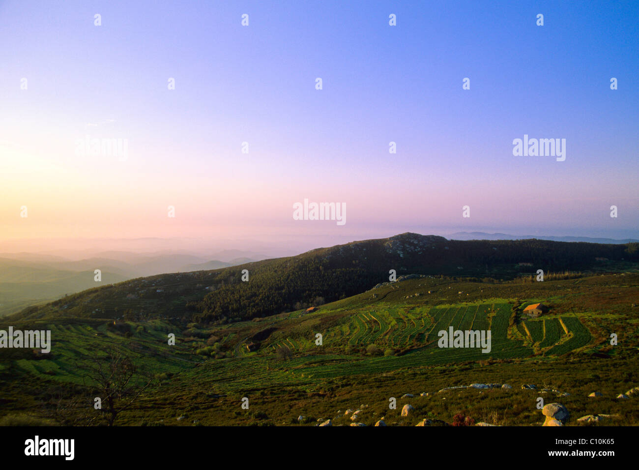 Foja mountains hi-res stock photography and images - Alamy