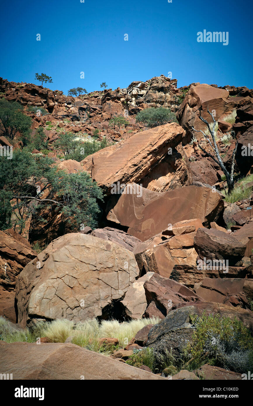 Rock carvings, petroglyphs, rock art, Twyfelfontein, Damaraland ...
