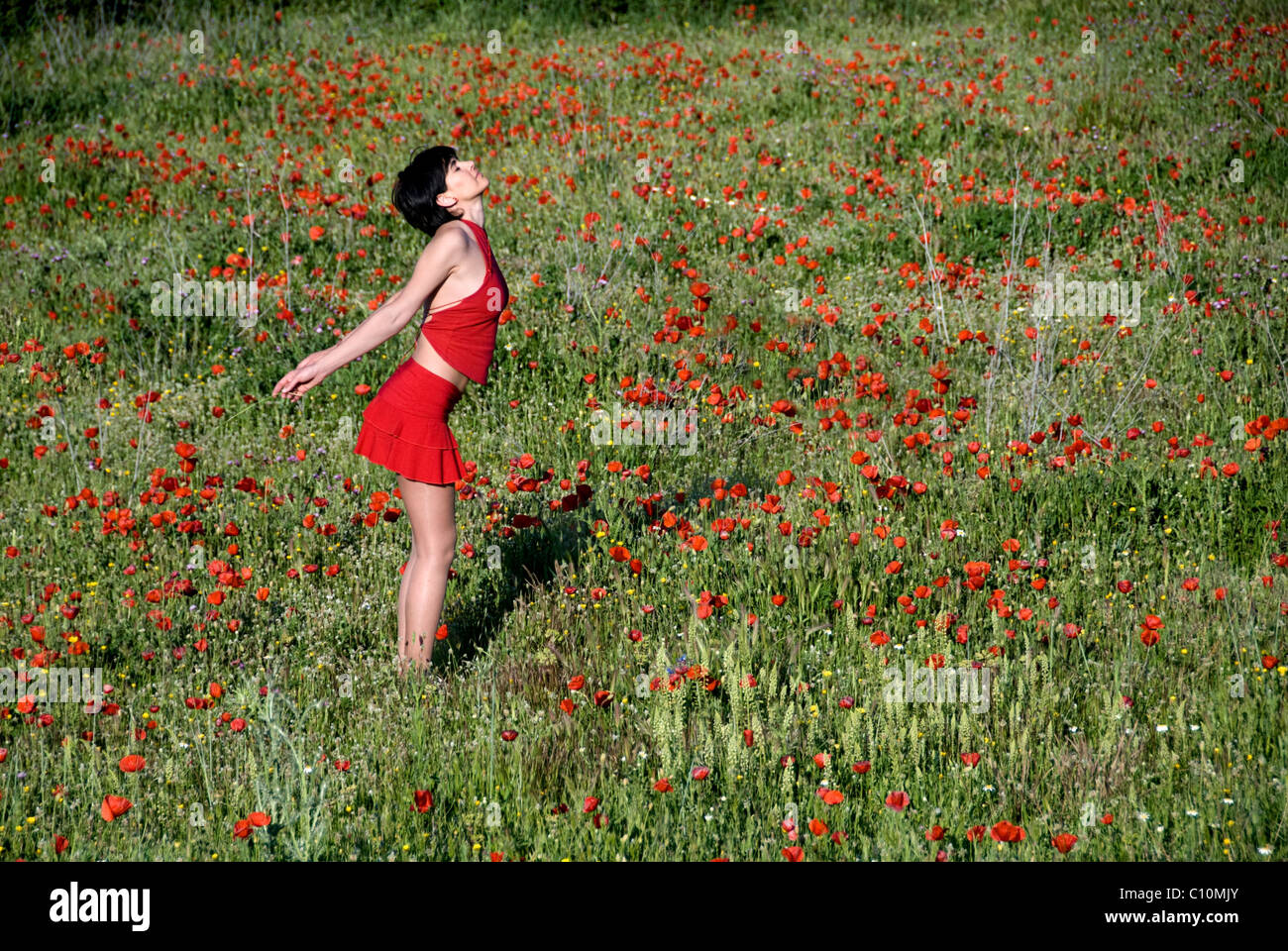Girl poppyfield hi-res stock photography and images - Alamy