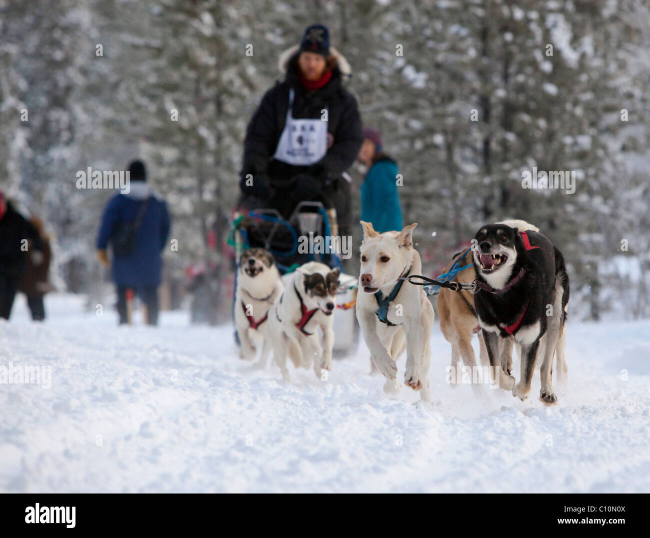 Team carbon hi-res stock photography and images - Alamy